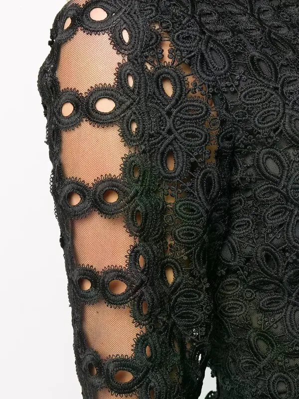 Simkhai Lace Embroidered Mini Dress
