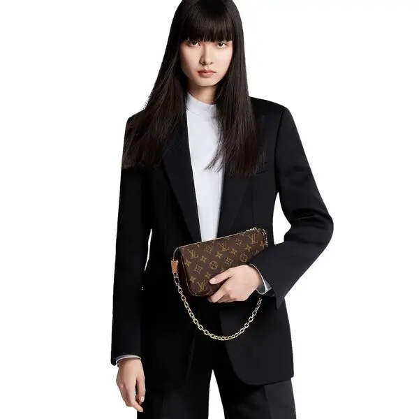LOUIS VUITTON Monogram Pochette Accessoires