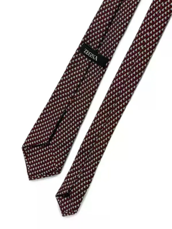 Zegna Silk Sail Print Tie
