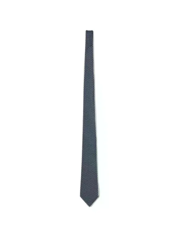 Zegna Printed Silk Neck Tie
