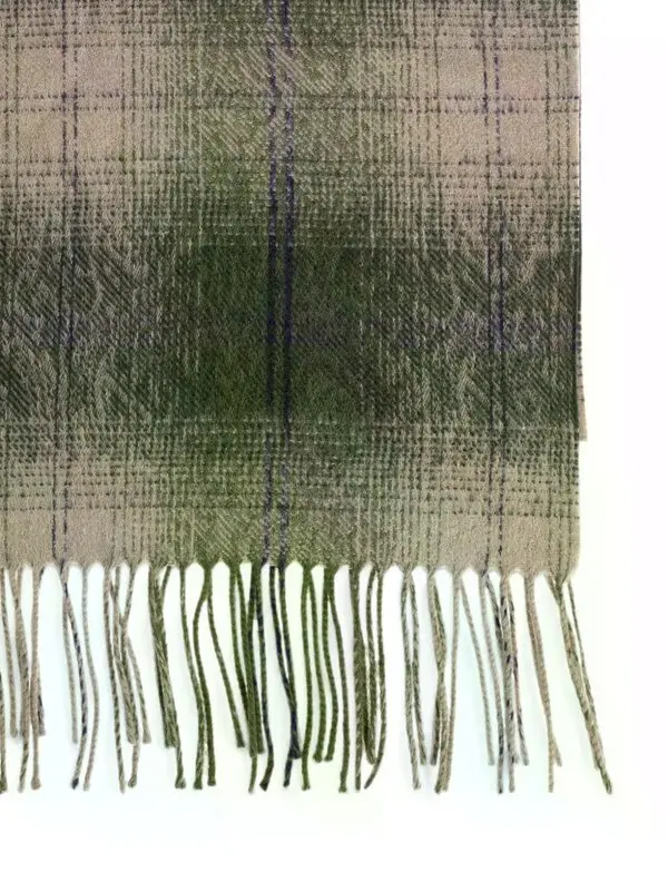 Etro Check Fringed Scarf - Green