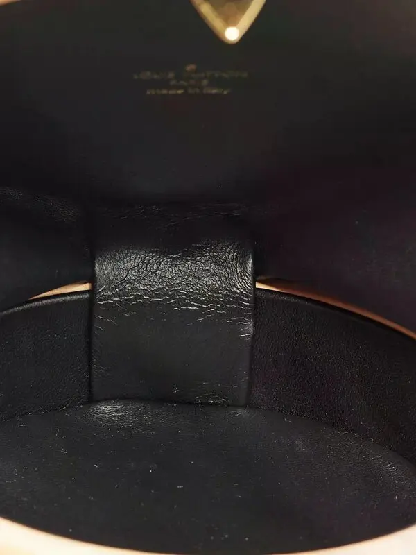 LOUIS VUITTON 2018 Petit Noé Monogram Bucket Bag