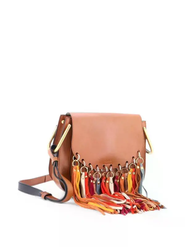 Chloé Multicolor Fringe Hudson Shoulder Bag