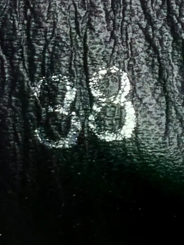 LOUIS VUITTON Laureate Monogram Ankle Boots