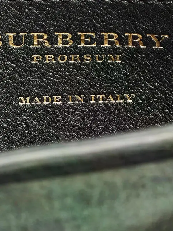 Burberry Buckle Dual-pin Crossbody Bag
