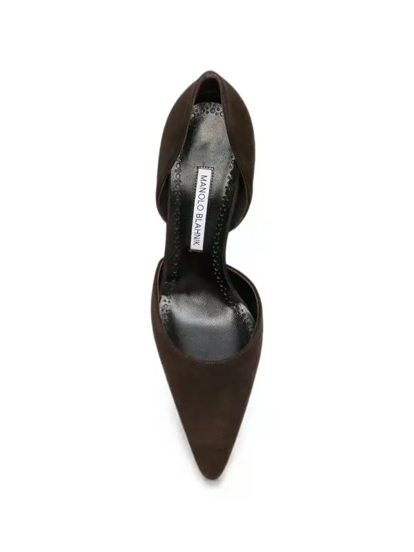 Manolo Blahnik Taylernu Pointed-toe Pumps