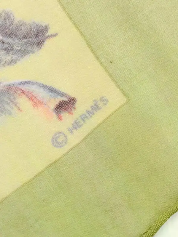 Hermès 2010s Plumes Chiffon Scarf