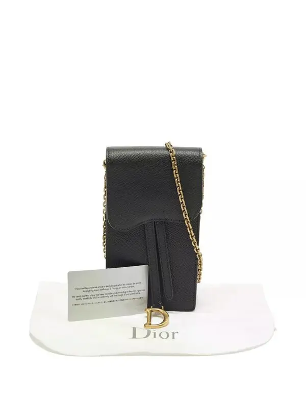 Dior 2019 Saddle Chain Crossbody Bag