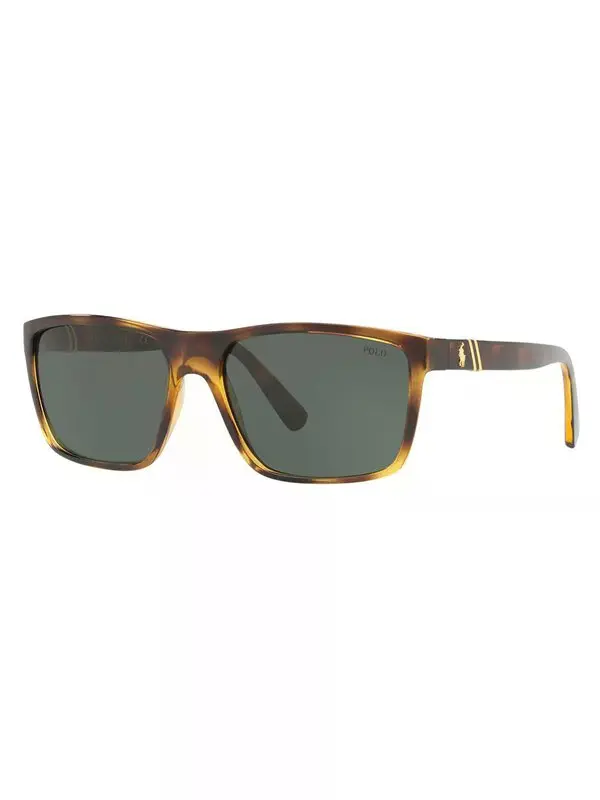 POLO RALPH LAUREN EYEWEAR Ph4133 Sunglasses