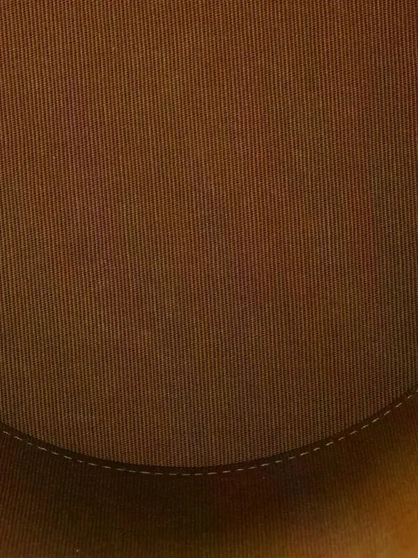 Celine Tambour Bag Triomphe Coated Canvas Medium Crossbody Bag