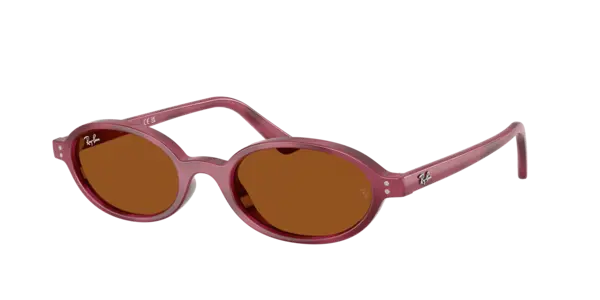 Ray-ban Oval Frame Sunglasses - Dark Brown