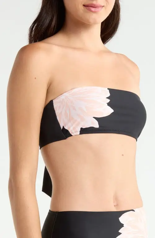 Sanctuary Floral Bandeau Bikini Top - Black