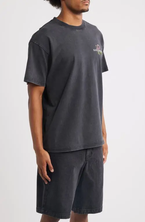 SANTO STUDIO Nature Club Cotton Graphic T-shirt