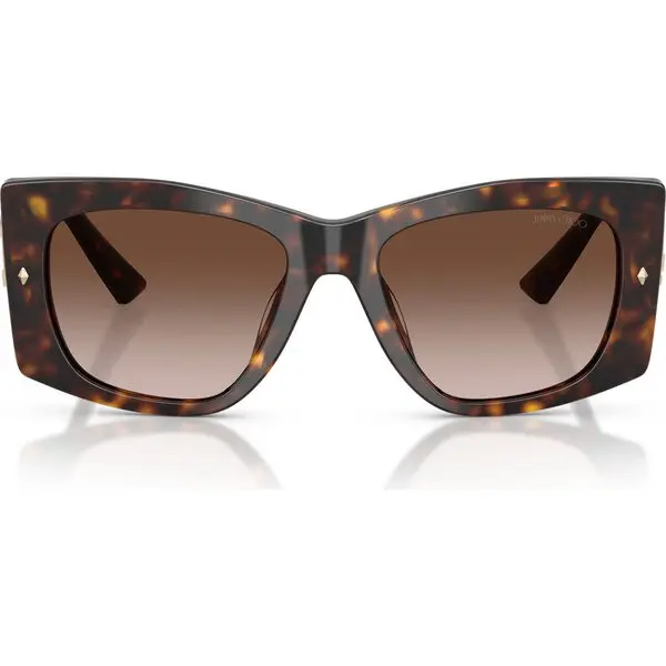 JIMMY CHOO 54mm Butterfly Sunglasses - Havana/brown Gradient