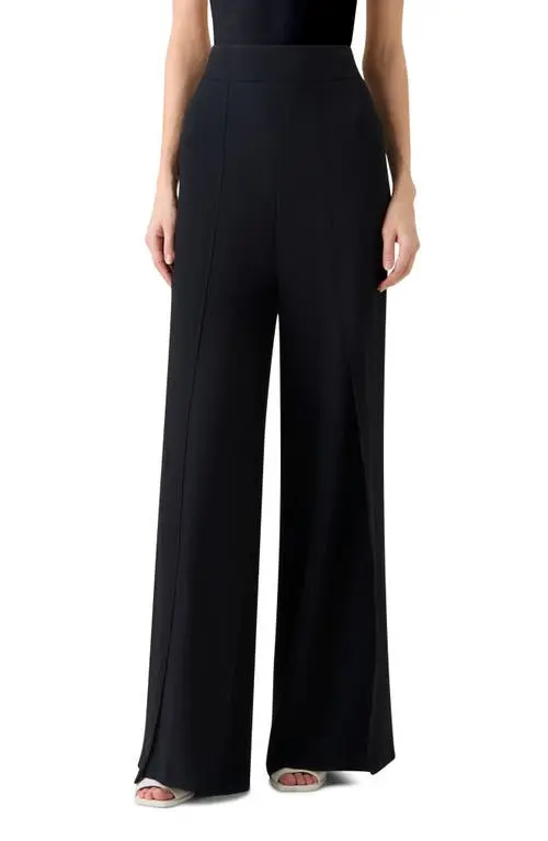 Akris Fellia Silk Georgette Wide Leg Pants - Black