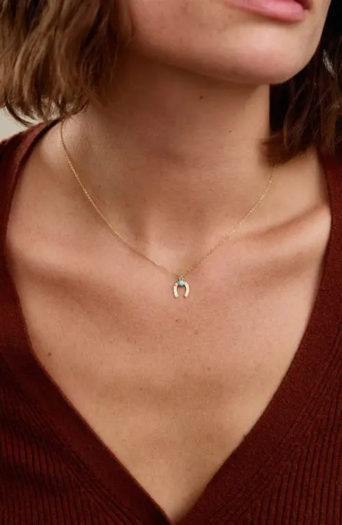 SET & STONES Horseshoe Pendant Necklace