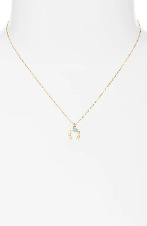 SET & STONES Horseshoe Pendant Necklace