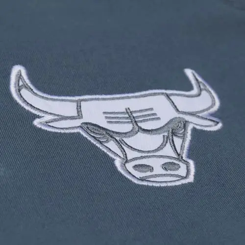 Mitchell & Ness Chicago Bulls Thunderstorm T-shirt