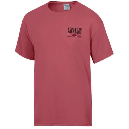 COMFORTWASH Arkansas Razorbacks Big Name T-shirt
