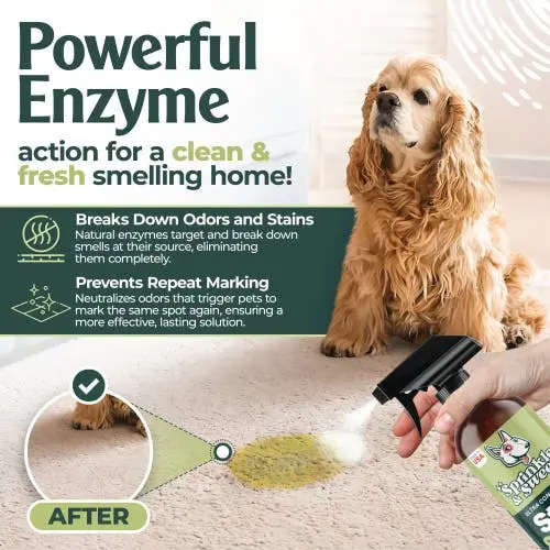 SPRINKLE & SWEEP 24 Oz Pet Stain And Odor Enzyme Spray 2 Pack