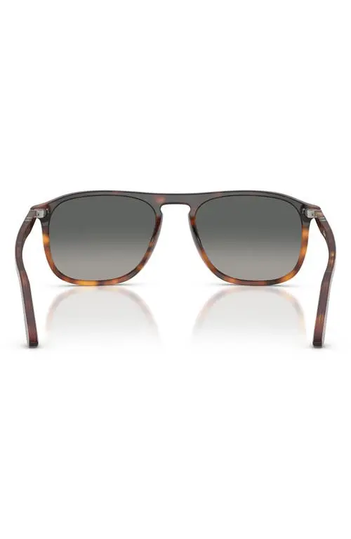 Persol Acetate Square Frame Sunglasses