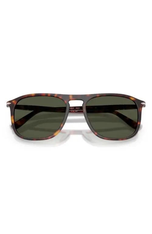 Persol Acetate Square Frame Sunglasses - Havana/green