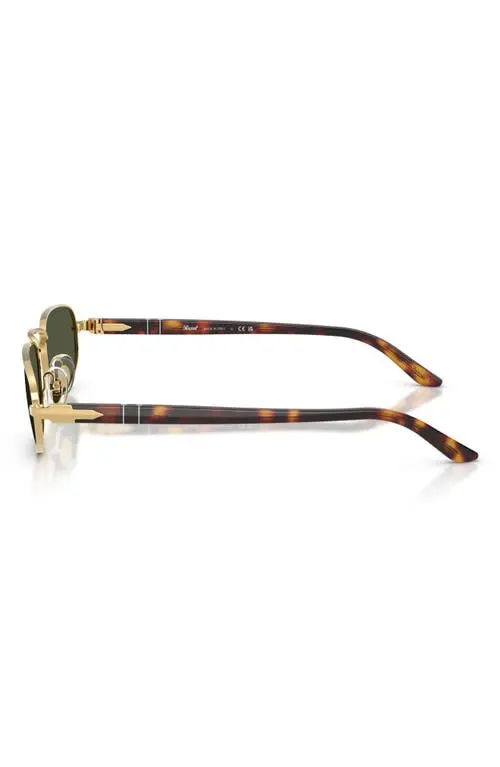 Persol Oval Frame Sunglasses - Gold/green