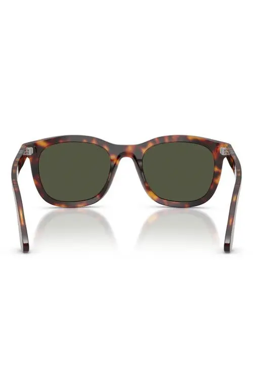 Persol Phantos Sunglasses - Havana/green
