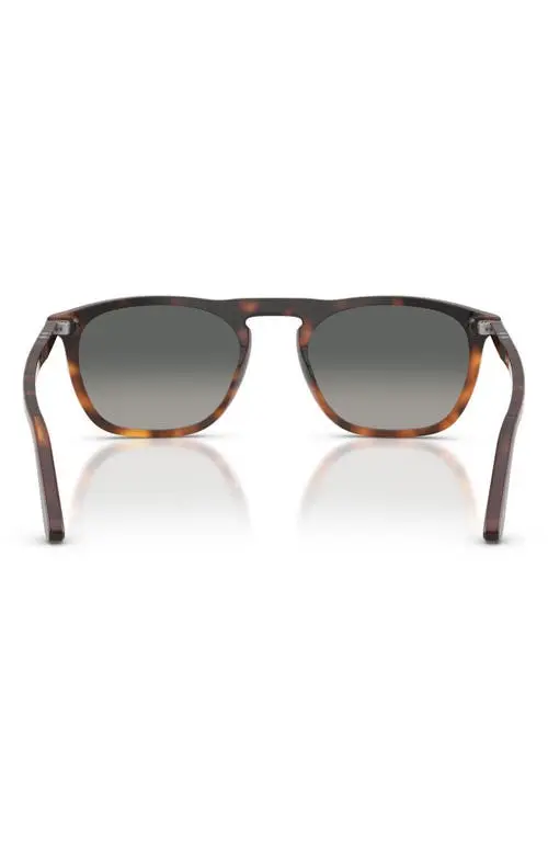 Persol Gae 55mm Square Sunglasses