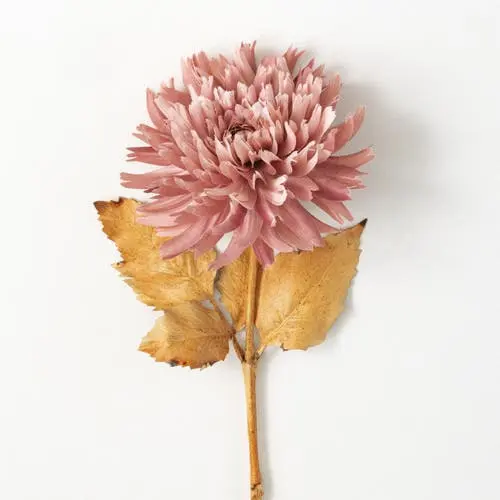 TRANSPAC Sullivan's Dahlia Stem, Faux Floral Stem For Crafting, Weddings, Home And Holiday Decoration - Pink