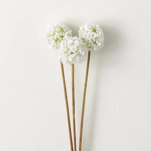 TRANSPAC Sullivan's Allium Bunch, Faux Floral Stem For Crafting, Weddings, Home And Holiday Decoration - White