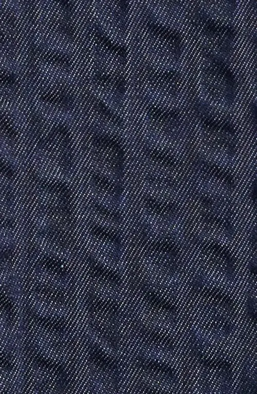 EMANUEL BERG Crinkle Stripe Cotton Denim Button-up Shirt
