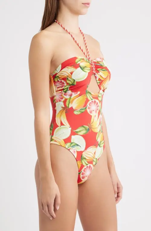 Farm Rio Printed One-piece Swimsuit With Cut Out Detail