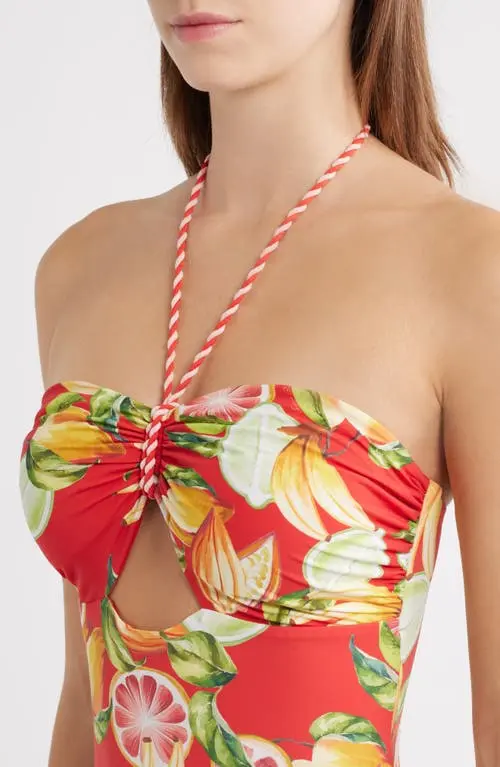 Farm Rio Printed One-piece Swimsuit With Cut Out Detail