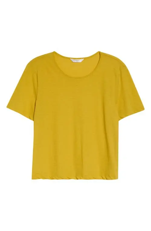 LESET Milo Crop T-shirt - Daffodil