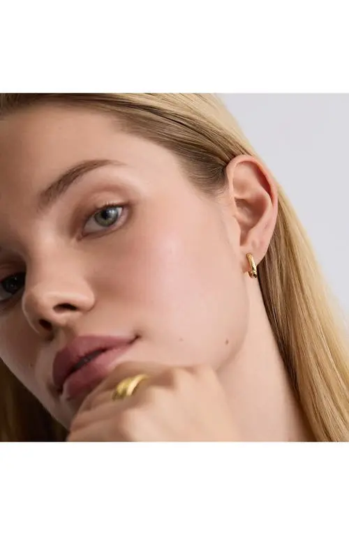 D.LOUISE Oval Huggie Hoop Earrings