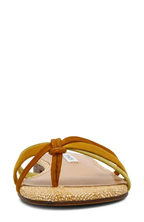 Steve Madden Calissi Flip Flop - Raffia Multi