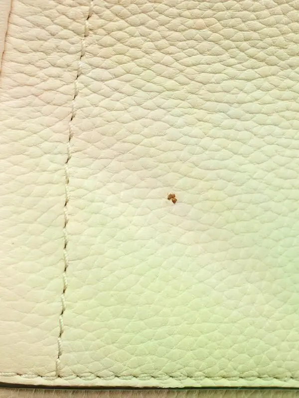 Tory Burch Mcgraw Dragonfly Drawstring Tote Bag