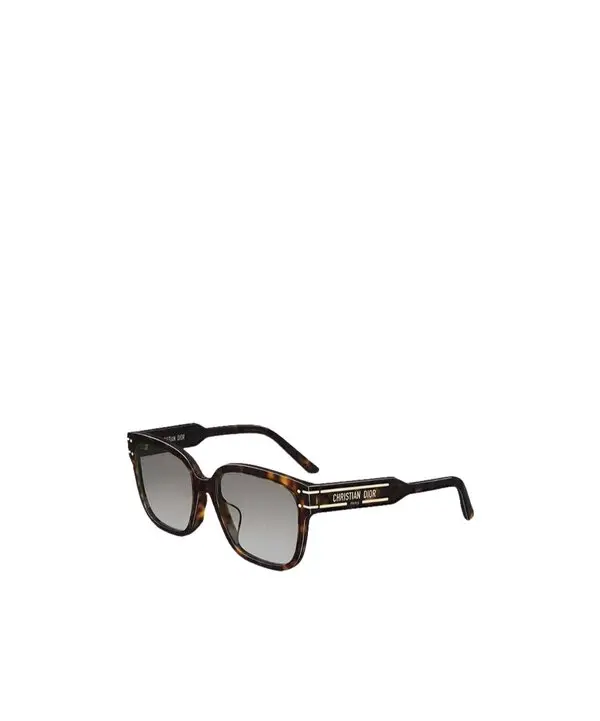 Dior Full-rim Sunglasses