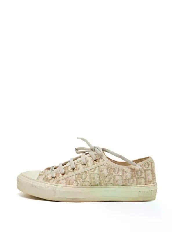 Dior Walk'n' Oblique Sneakers