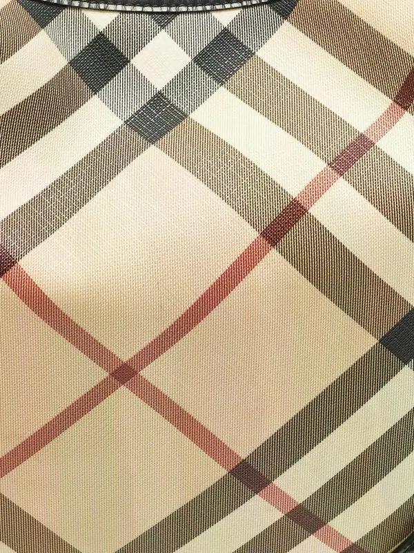 Burberry Supernova Larkin Shoulder Bag