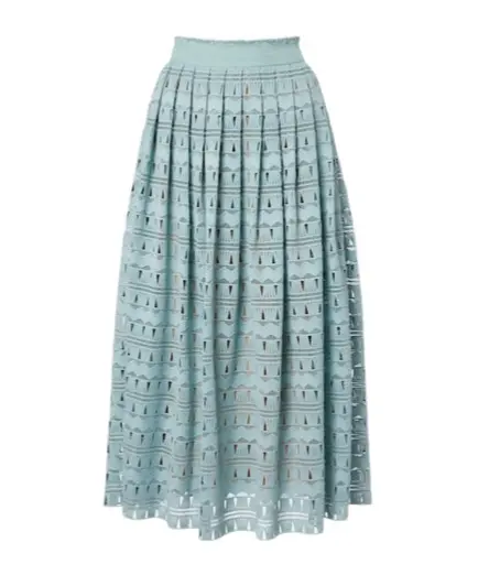 Elie Saab Knitted Maxi Skirt - Blue