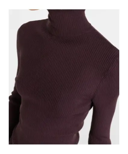 Wolford Turtleneck Top