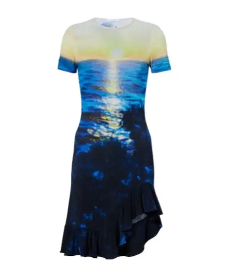 Rabanne Printed Ruffled Minidress