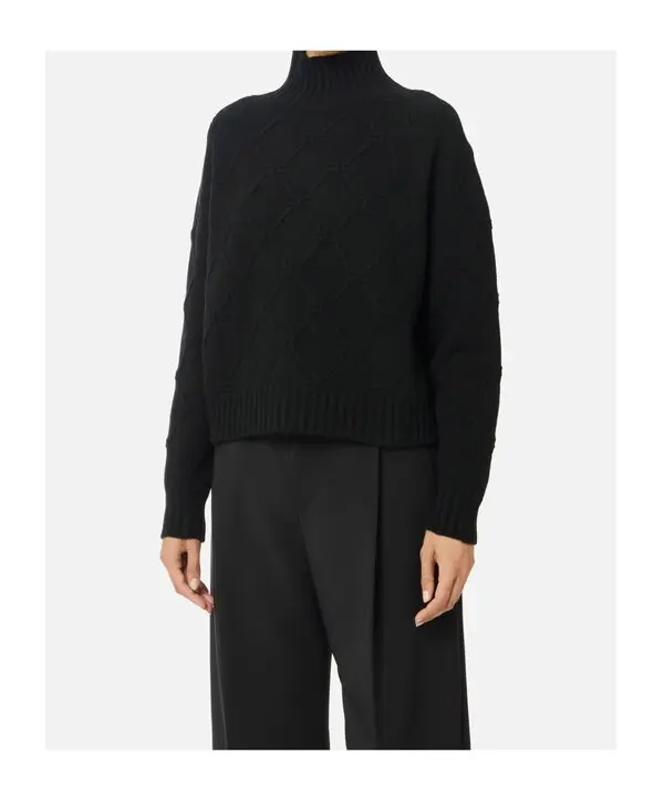 Elisabetta Franchi Logo-patch High-neck Jumper