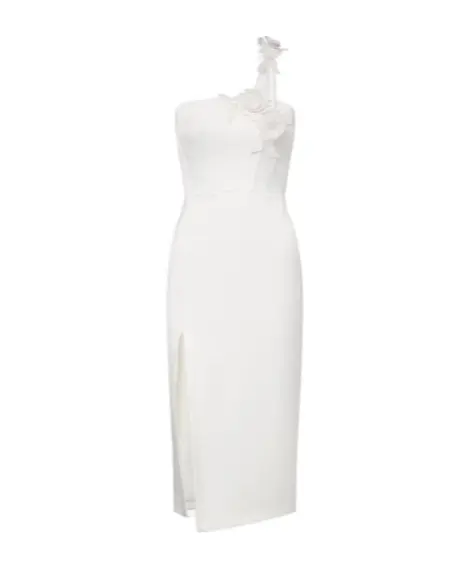 David Koma Floral-applique Bustier Dress