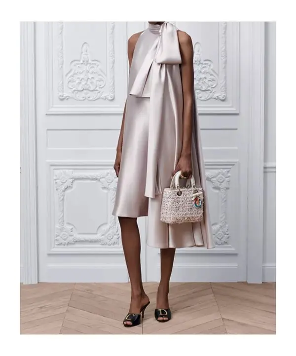 Dior A-line Dress With Bow Collar