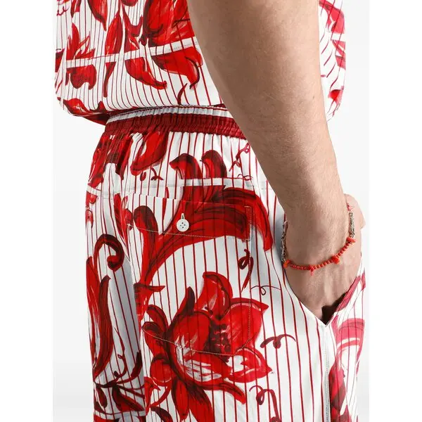 Dolce & Gabbana Majolica-print Striped Poplin Vanity Bermudas