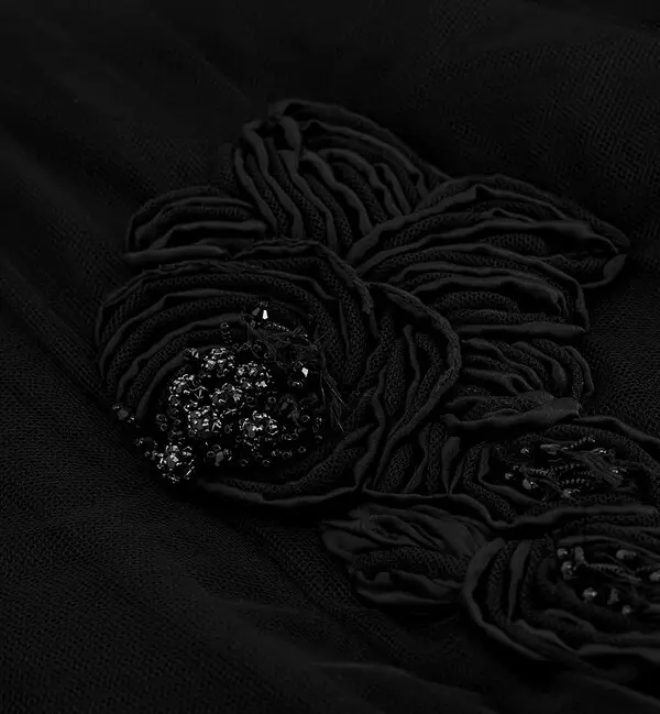 Dior Embroidered Long Dress