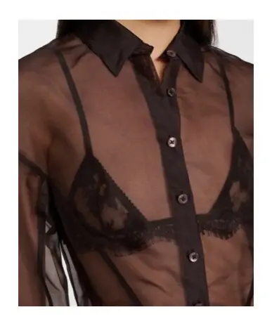 Staud Aida Sheer Silk Organza Shirt
